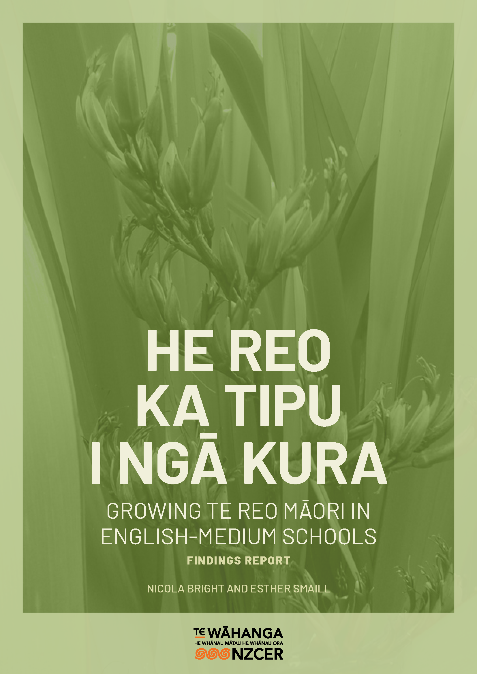Revitalising te reo Māori in education | New Zealand Council for Educational Research